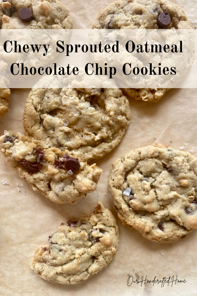 Best Chewy Sprouted Oatmeal Chocolate Chip Cookies - Our Handcrafted Home