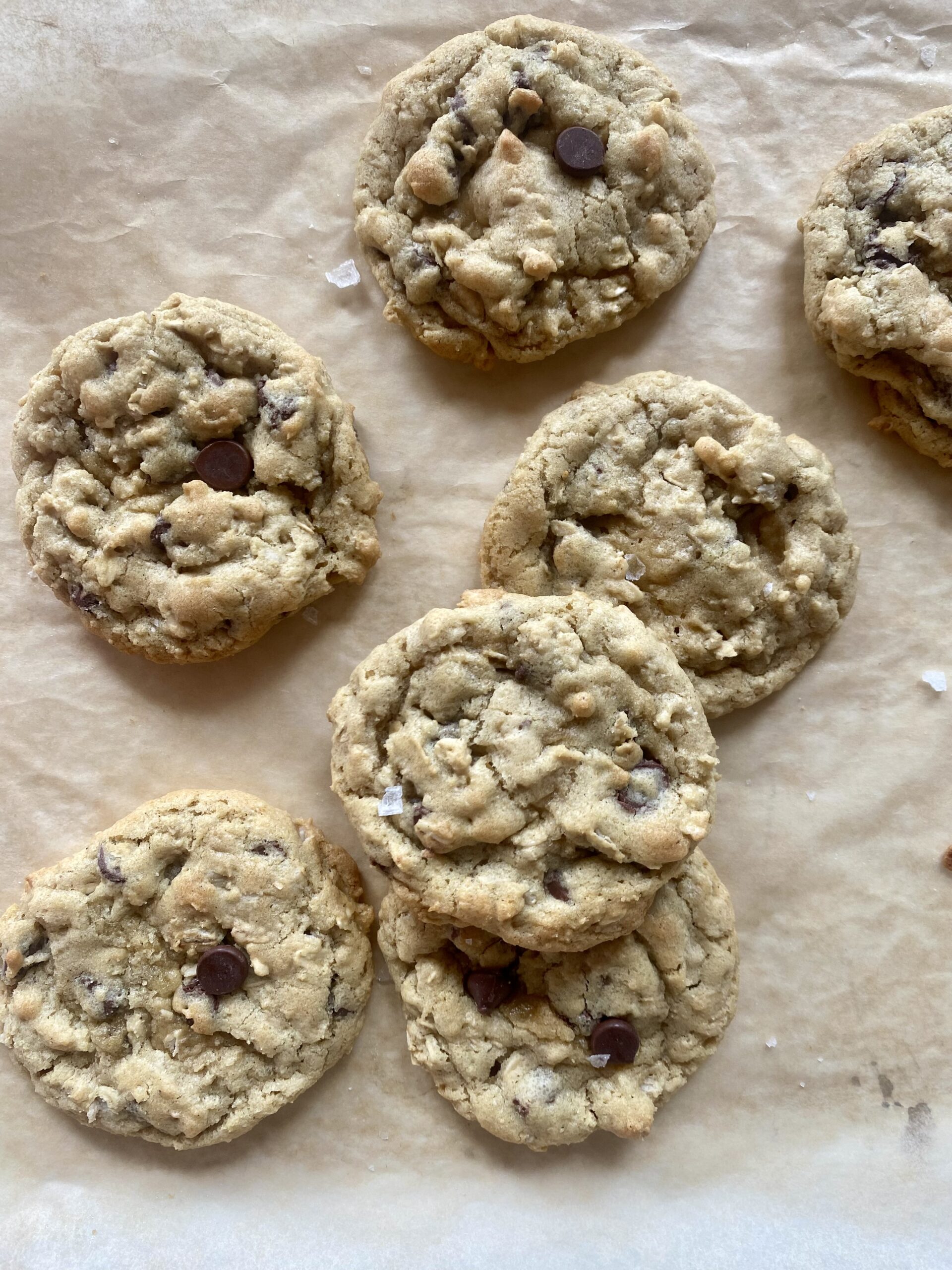 Best Chewy Sprouted Oatmeal Chocolate Chip Cookies - Our Handcrafted Home