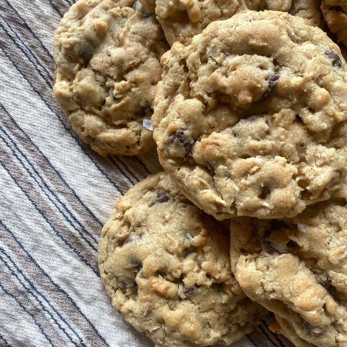 Best Chewy Sprouted Oatmeal Chocolate Chip Cookies - Our Handcrafted Home
